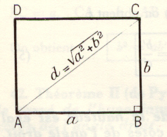 les diagonales d'une figure géométrique plane